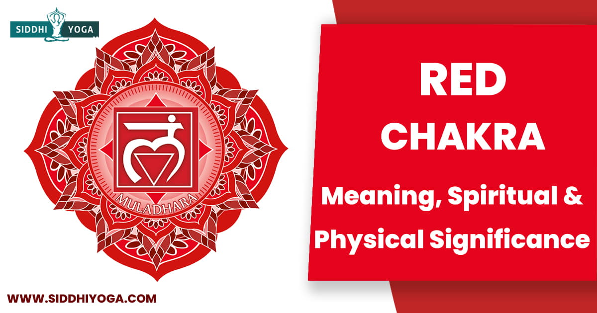 How to Balance the Red Chakra for Stability | Siddhi Yoga