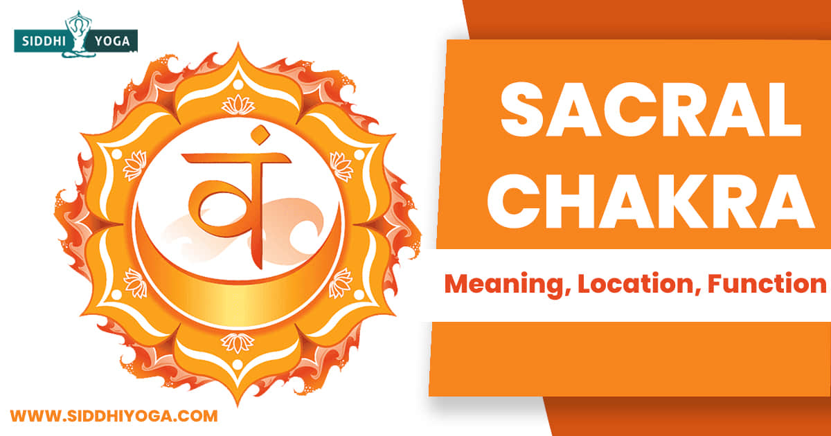 The Sacral Chakra: Meaning Function & Location | Siddhi Yoga