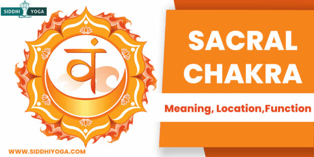 The Sacral Chakra: Meaning Function & Location | Siddhi Yoga