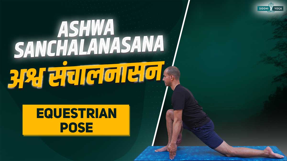 How to Do Ashwa Sanchalanasana | Siddhi Yoga