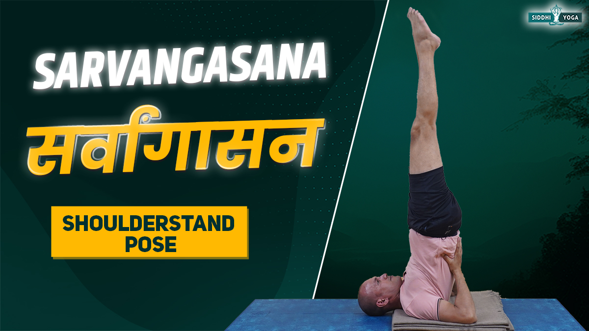 How to Do Sarvangasana (Shoulderstand Pose) | Siddhi Yoga