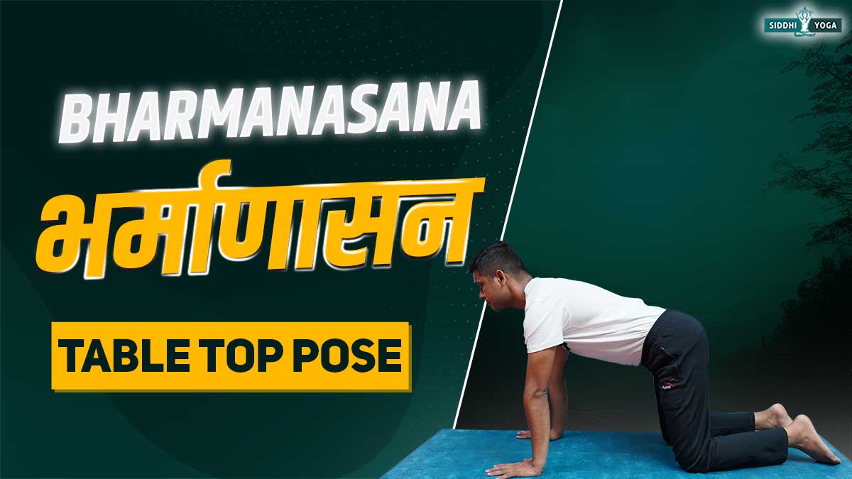 Benefits of Bharmanasana (Table Top Pose) | Siddhi Yoga