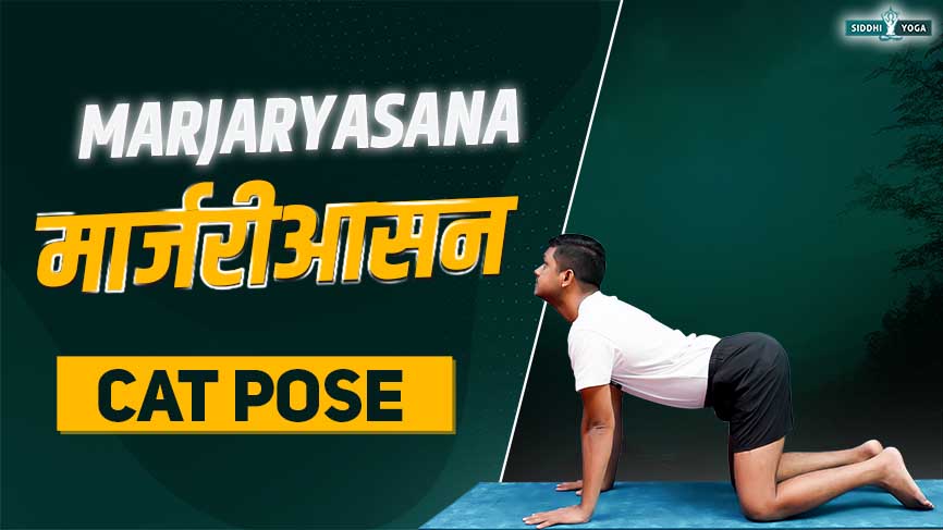 81 postures et asanas de yoga faciles pour les débutants avec photos