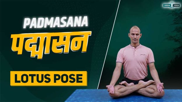Padmasana (Lotus Pose) Benefits & Guide | Siddhi Yoga