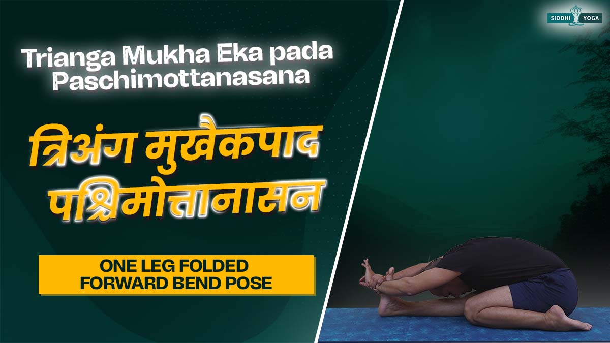 Trianga Mukha eka pada Paschimottanasana | Siddhi Yoga