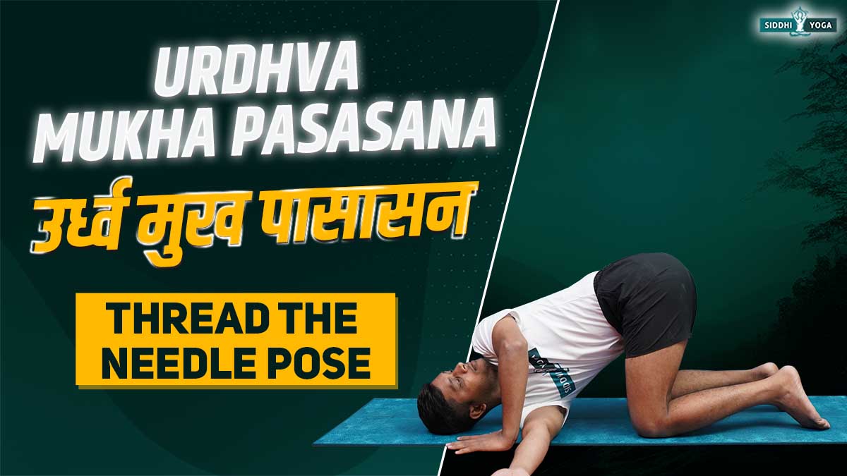 Urdhva Mukha Pasasana(Thread the Needle Pose) | Siddhi Yoga