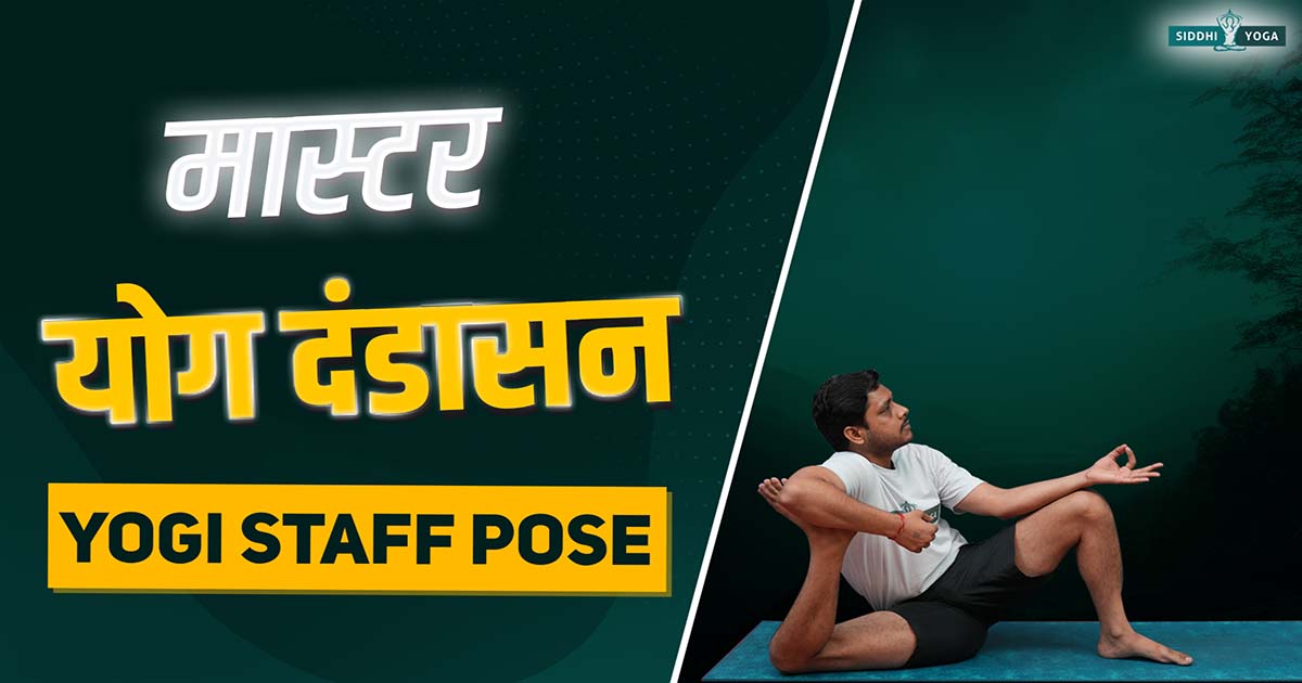 Yoga Dandasana or Yogi Staff Pose: Benefits | Siddhi Yoga