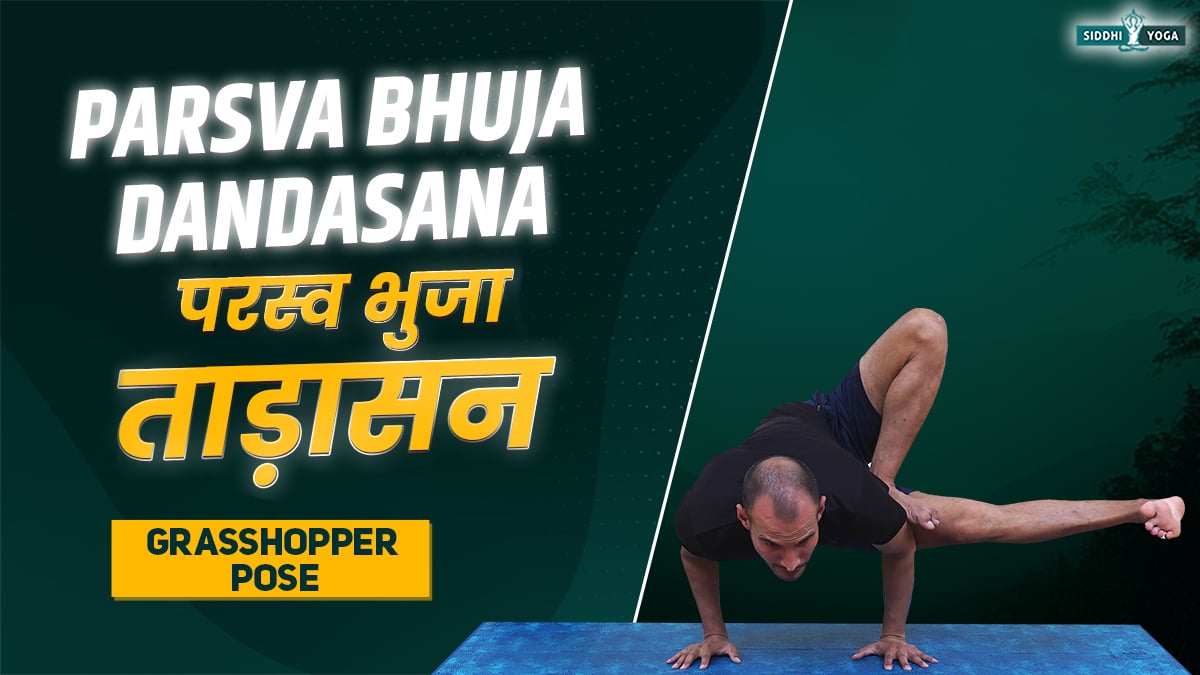 Parsva Bhuja Dandasana (Grasshopper Pose) | Siddhi Yoga