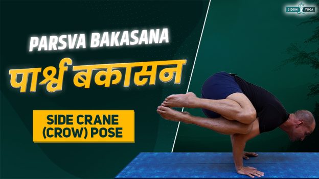 Parsva Bakasana - Side Crane or Crow Pose - Siddhi Yoga