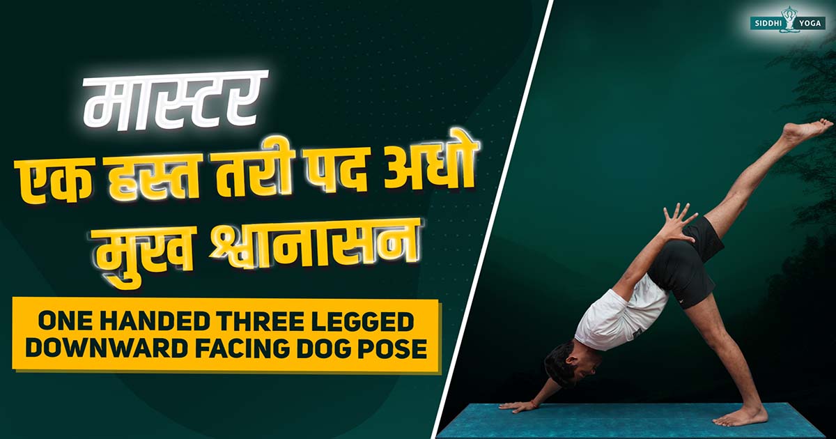 Eka Hasta Tri Pada Adho Mukha Svanasana | Siddhi Yoga