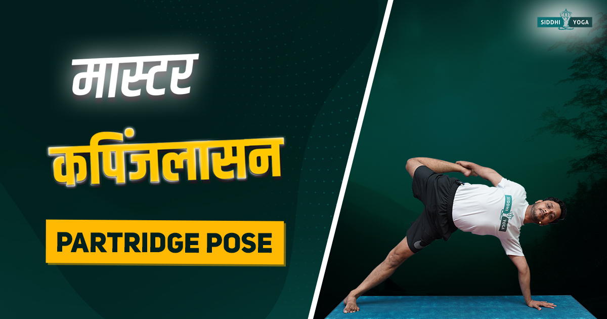 Kapinjalasana or Partridge Pose: How To Do - Siddhi Yoga