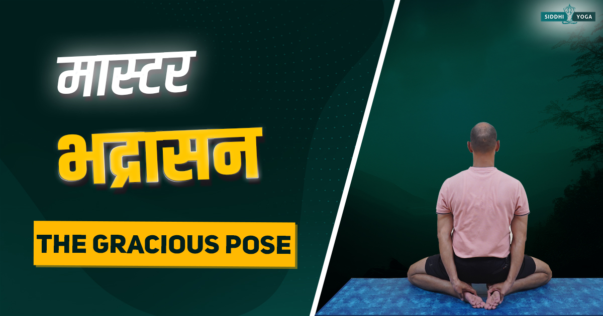 Bhadrasana or Gracious Pose Benefits | Siddhi Yoga