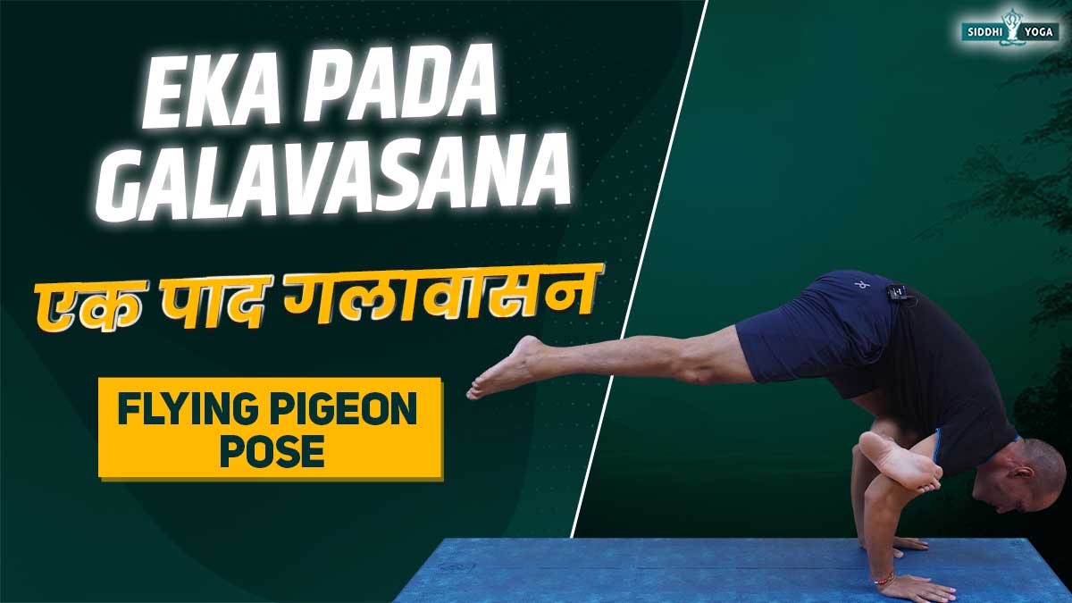Eka Pada Galavasana (Flying Pigeon Pose) | Siddhi Yoga