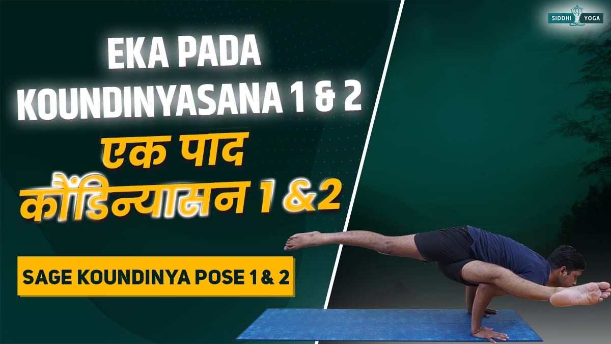 Benefits of Eka Pada Koundinyasana 1,2 | Siddhi Yoga