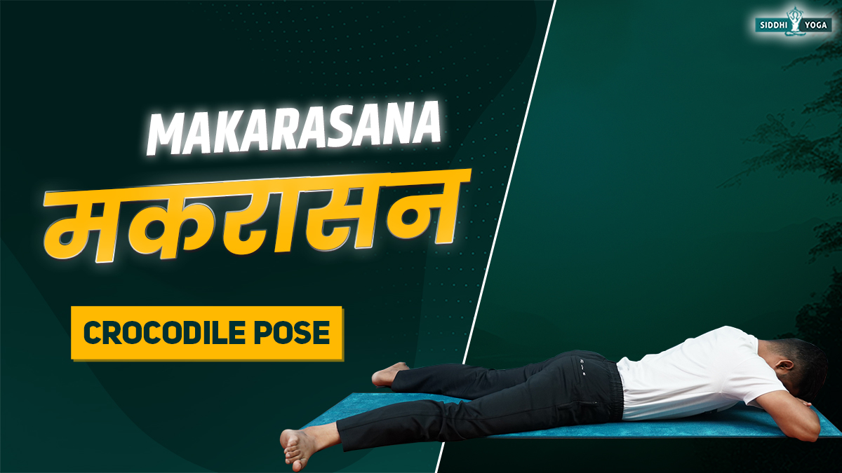Makarasana Crocodile Pose: Vorteile Tipps | Siddhi Yoga