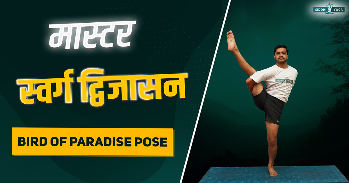 Svarga Dvijasana or Bird of Paradise Yoga Pose | Siddhi Yoga