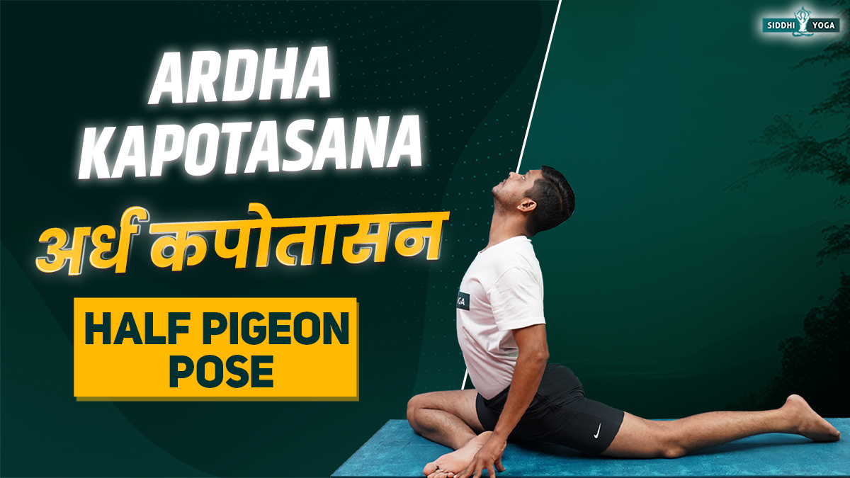 Benefits of (Ardha Kapotasana) Half Pigeon Pose | Siddhi Yoga
