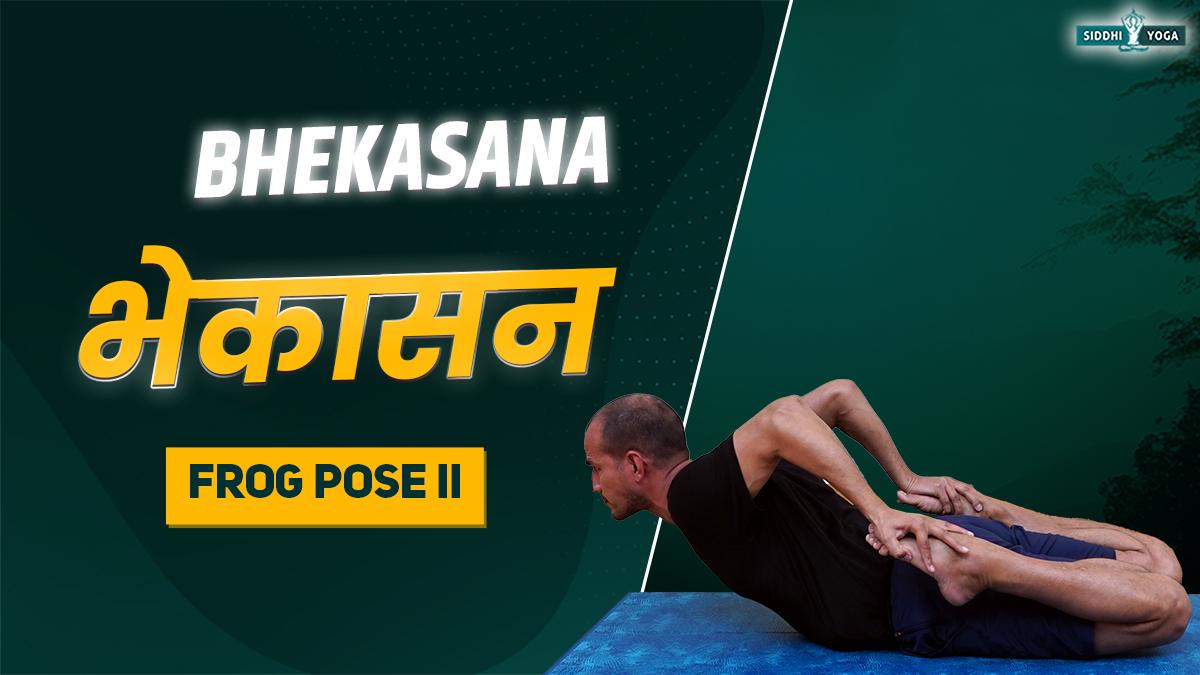 Bhekasana Frog Pose Benefits of Frog Pose II Siddhi Yoga