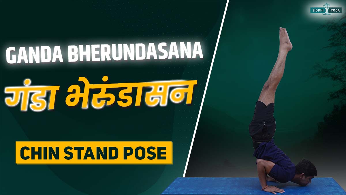 Chin Stand (Ganda Bherundasana) Benefits | Siddhi Yoga