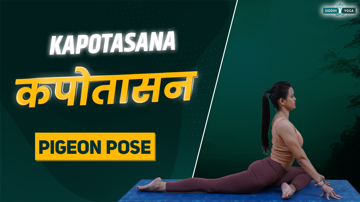 Kapotasana : Explore the Benefits of Pigeon Pose Siddhi Yoga