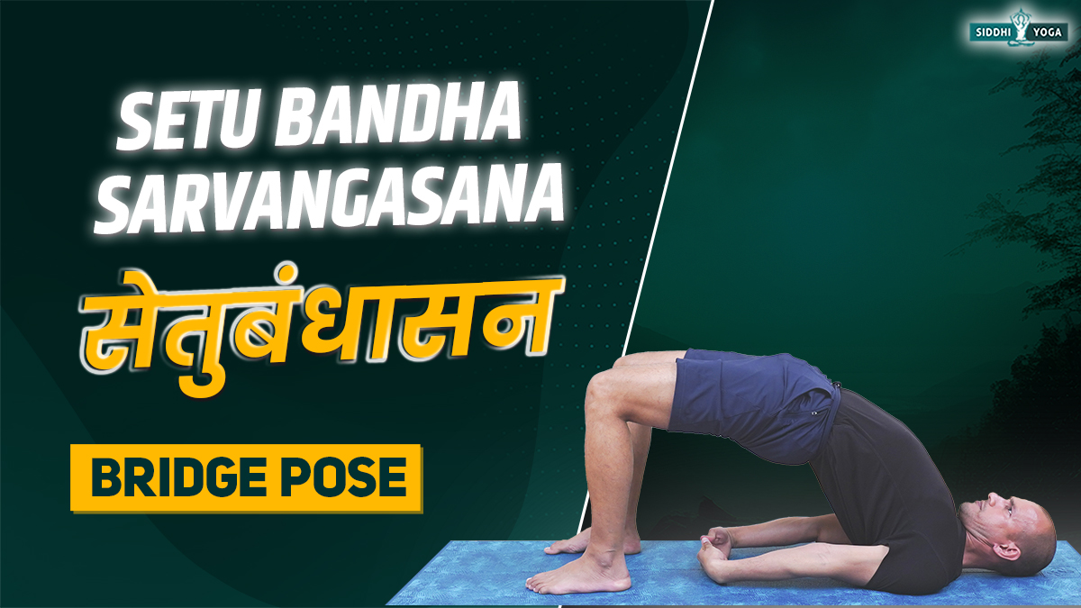 How to Do Setubandhasana (Bridge Pose) | Siddhi Yoga