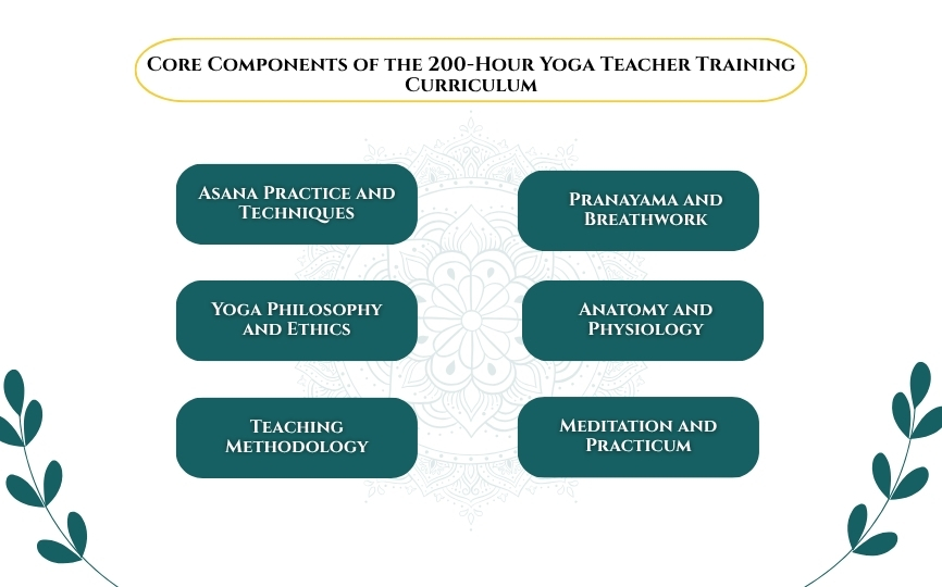 200 Hour Yoga Teacher Training Curriculum | Siddhi Yoga