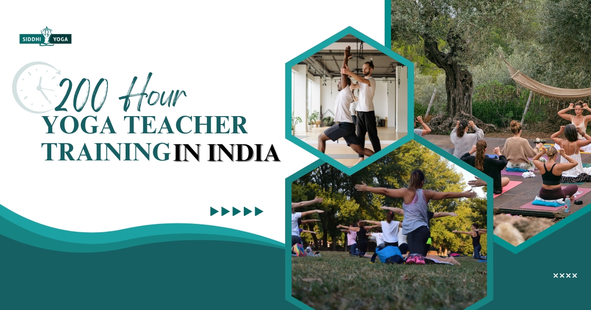 Best 200 Hour Yoga Teacher Training in India | Siddhi Yoga